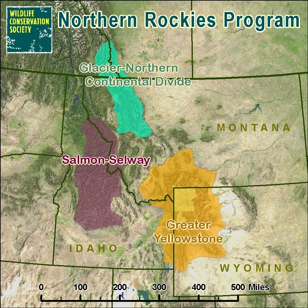 Rockies Map Canadian Rockies Destination Map | Stanfords