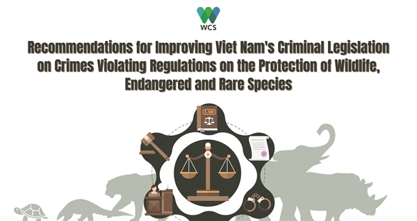 Recommendations for Improving Viet Nam's Criminal Legislation on Crimes ...