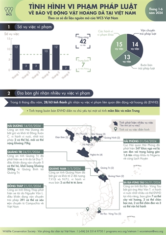 Illegal wildlife trade situation in Viet Nam in Jan-Jun 2024 > WCS Viet Nam