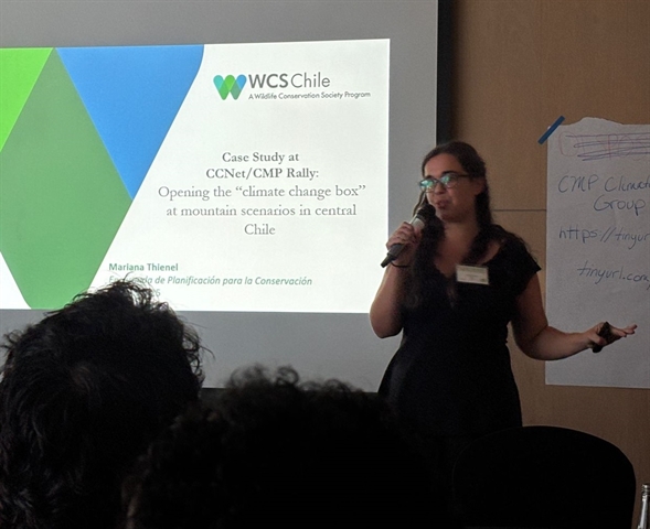 WCS Chile participa de encuentro global sobre Estándares de ...