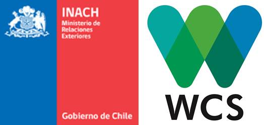 WCS es parte del Consejo de la Sociedad Civil del INACH > WCS Chile