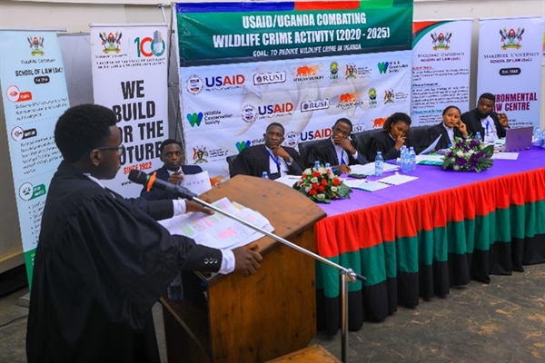 Wildlife Moot Courts Inspires Student Lawyers to Speak For, and Defend Wildlife > WCS Uganda