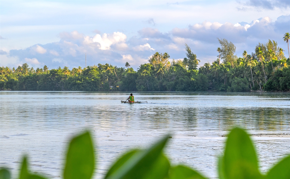 Arcadia Supports Critical Landscapes and Seascapes > Newsroom