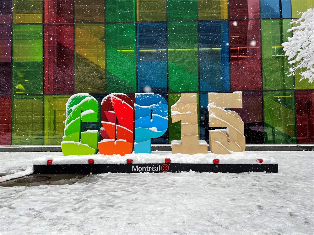 At CBD CoP15: A Few Hours Remain to Stop the Biodiversity Extinction ...