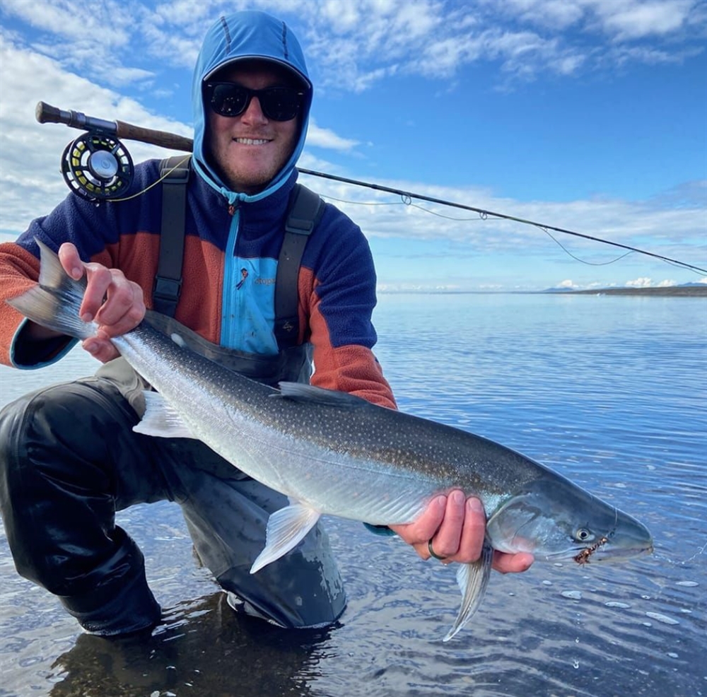 Low Levels of ‘Forever Chemicals’ Detected in Arctic Alaska Fish ...