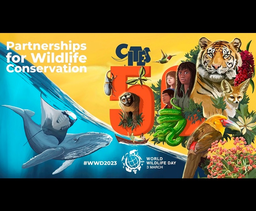 WCS Celebrates World Wildlife Day and 50 Years of CITES > Newsroom