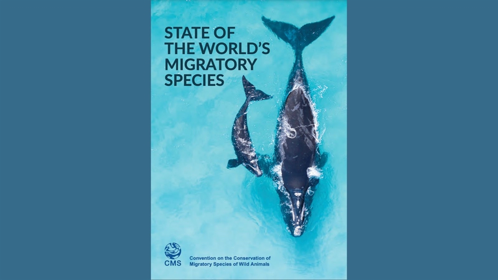 WCS Statement from CMS CoP14: First-Ever ‘State of the World’s ...
