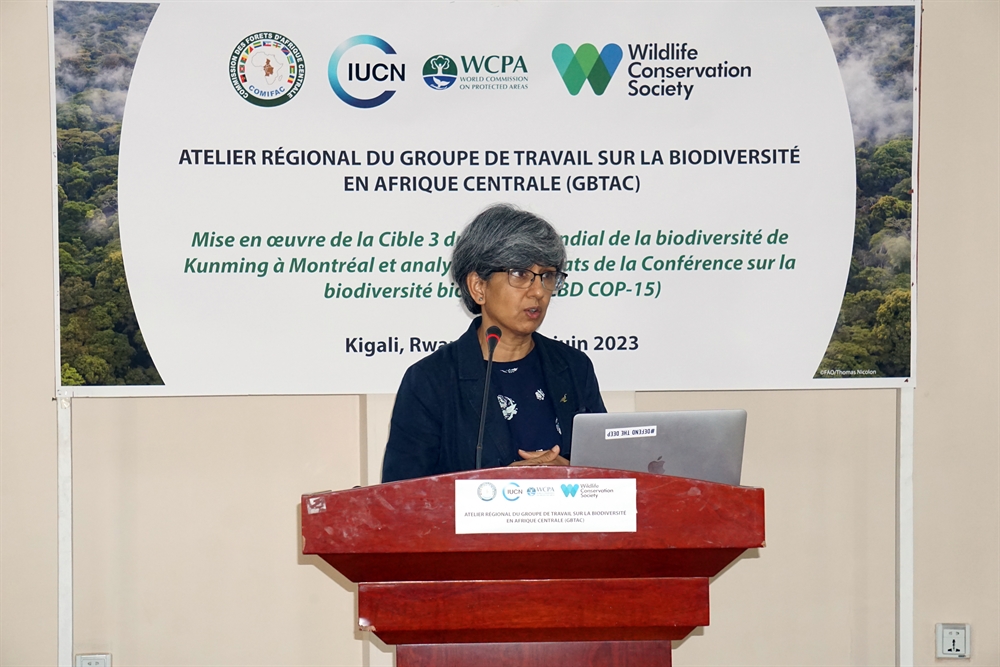 COMIFAC Countries Convene Workshop on the Implementation of Target 3 of ...