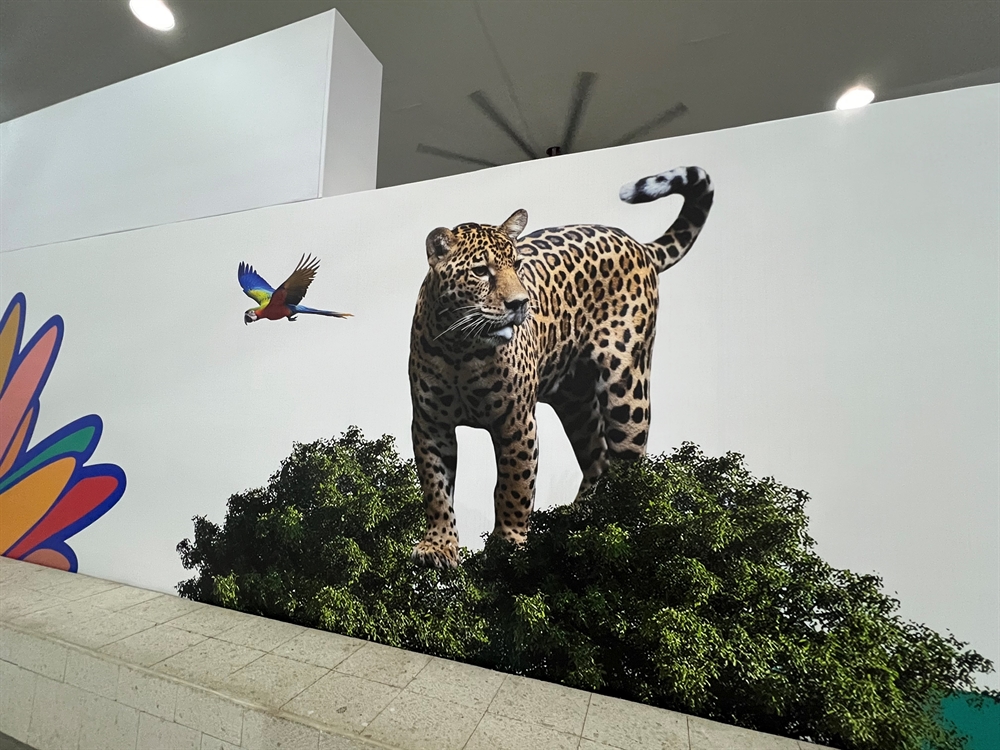 Can a UN Meeting Help Save Jaguars? > Newsroom