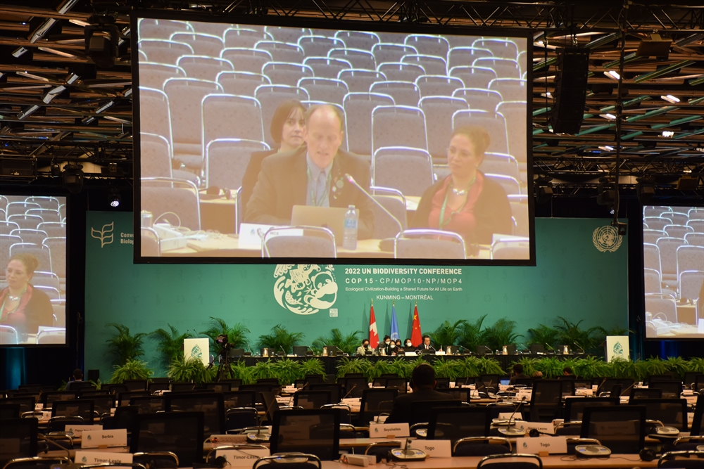 It Is Within Our Power to Transform the Trajectory of Nature > Newsroom