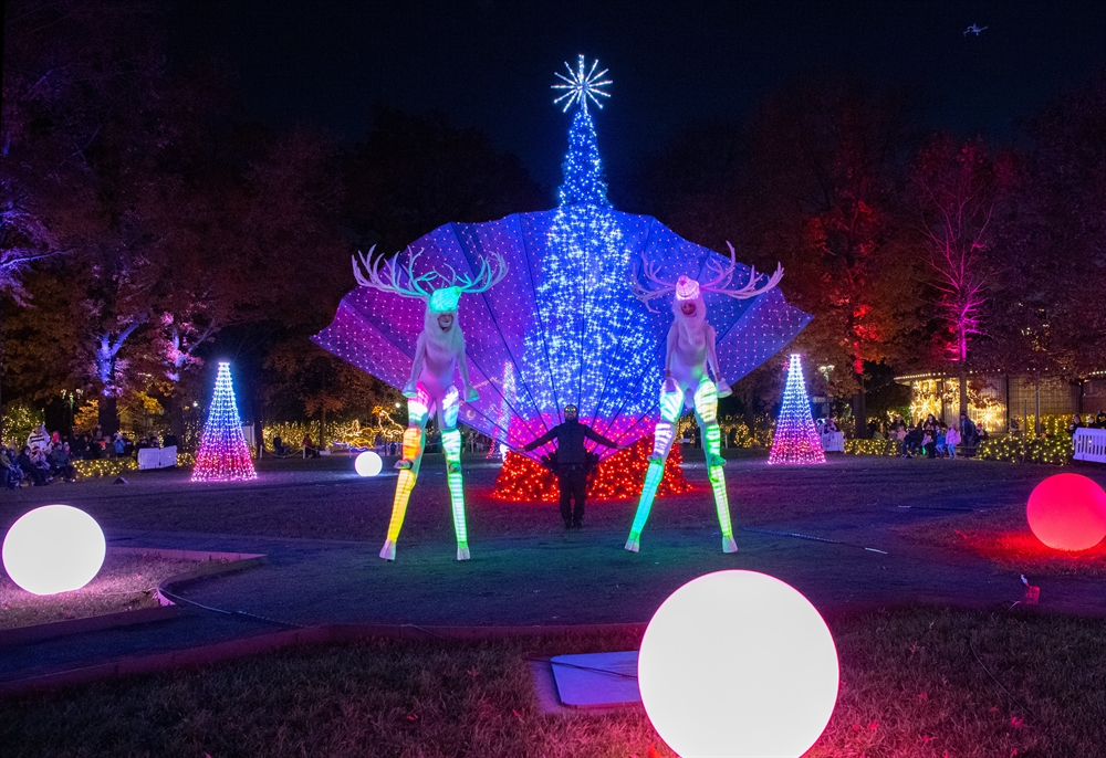 Tickets Go on Sale Today: Holiday Lights, with a Unique Wildlife Theme ...