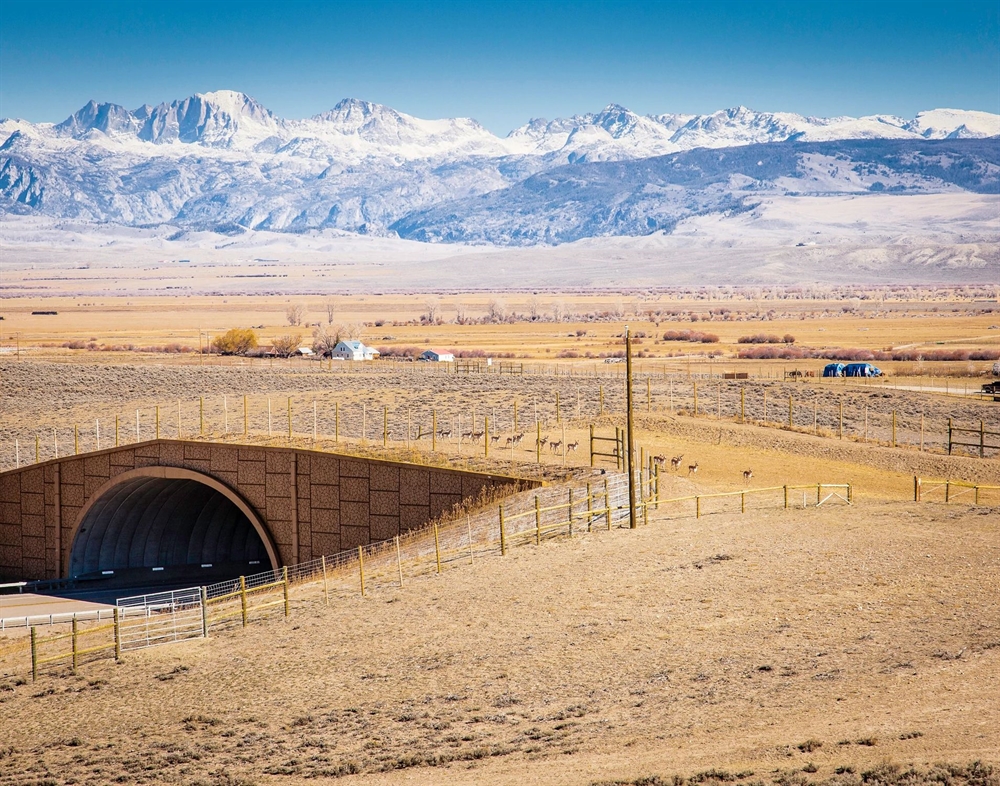 Experts Agree on the Need for Climate-informed Wildlife Crossings ...