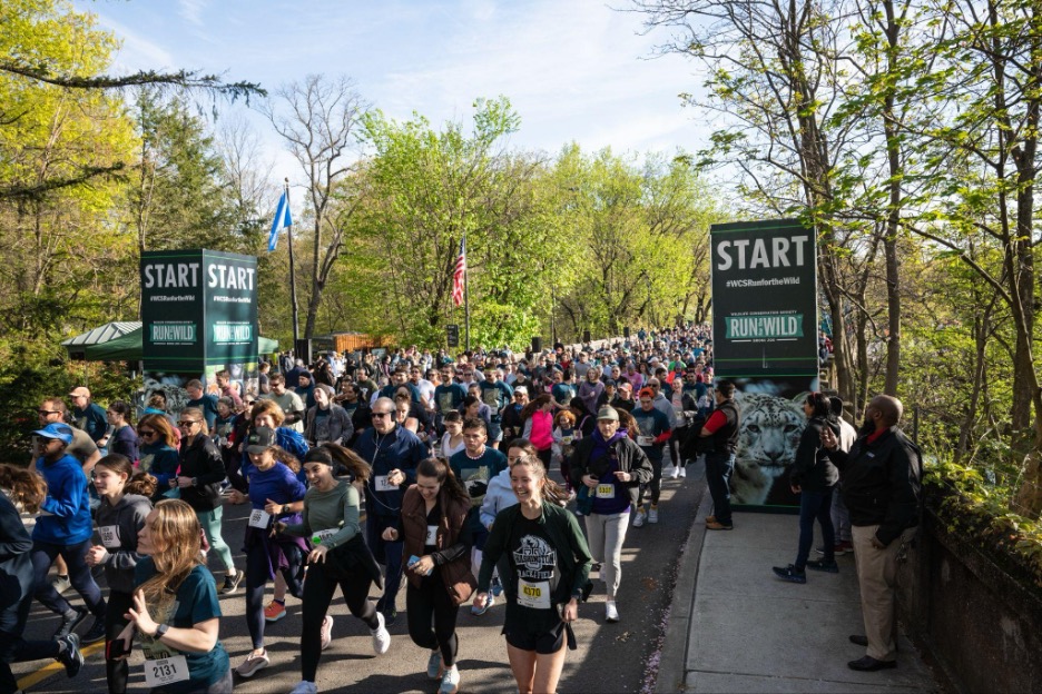 Bronx Zoo Announces 17th Annual WCS Run for the Wild to Protect Indian ...
