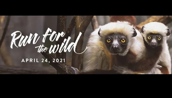 WCS Run for the Wild Returns to the Bronx Zoo - Saturday, April 24 ...
