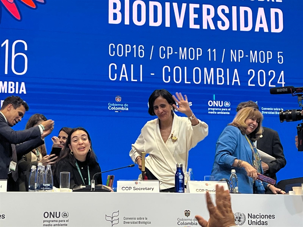 UN Biodiversity Conference Suspended, Adopting Some Wins, But With Much ...