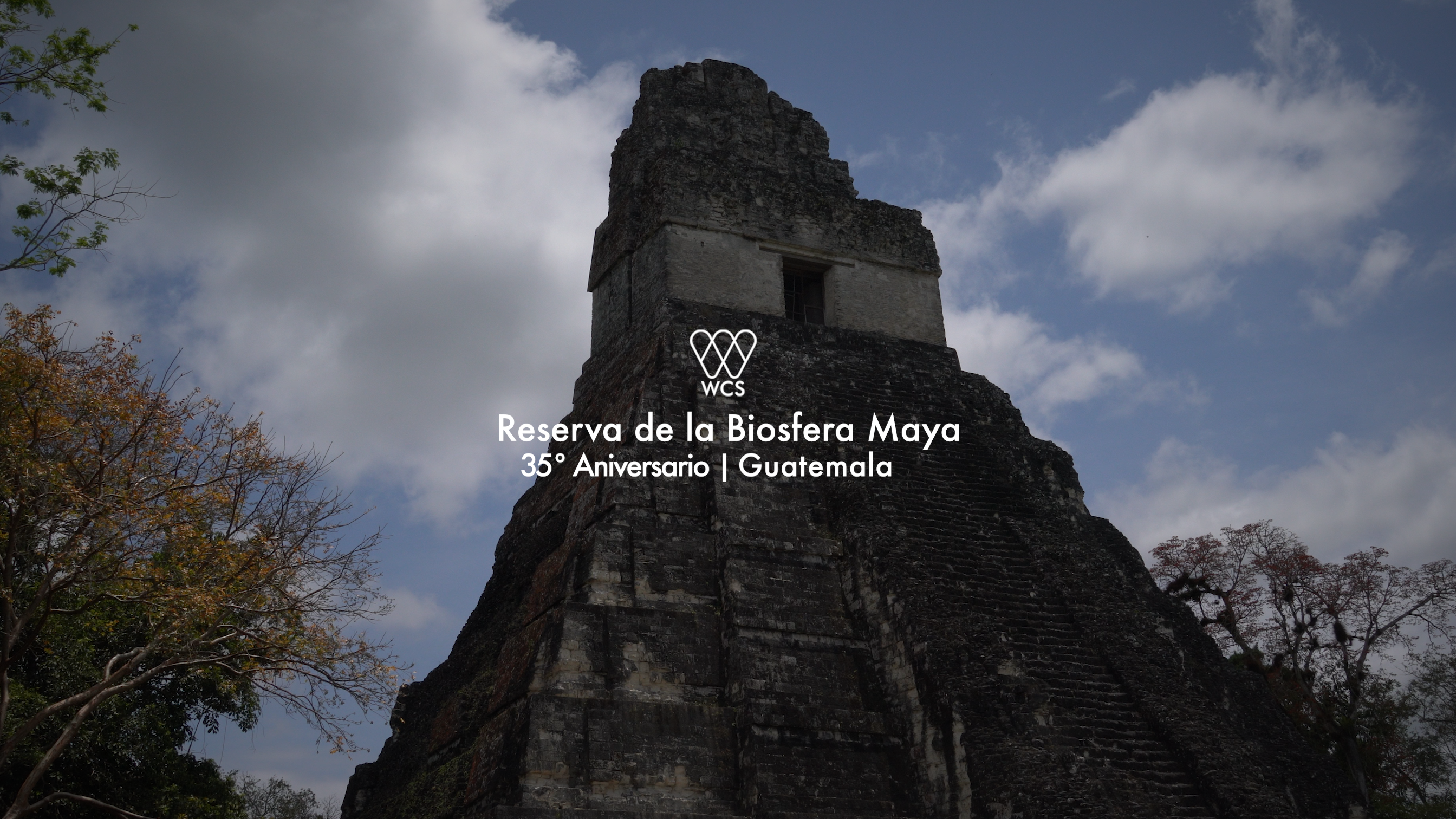 35 Years of the Maya Biosphere Reserve: A legacy of hope for ...