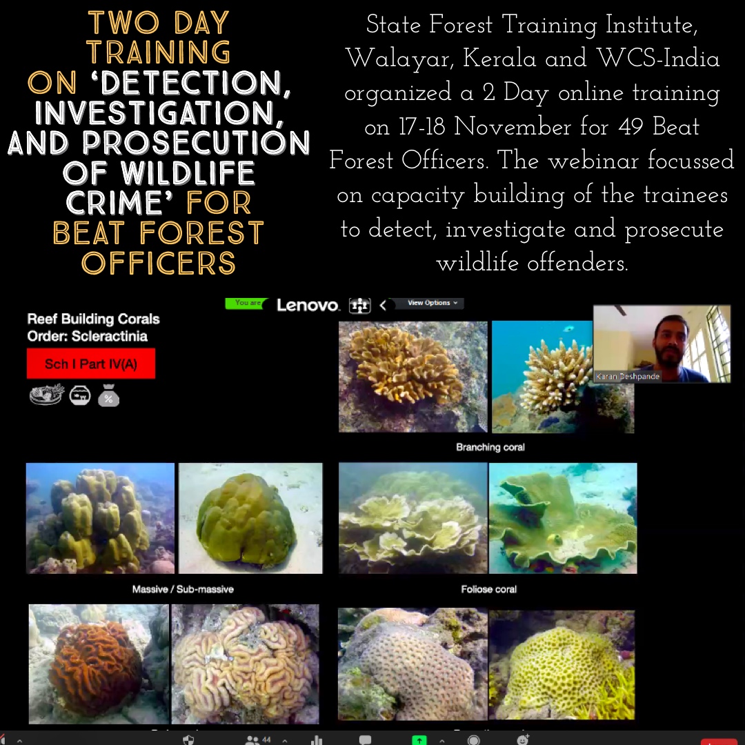 Two-Day Training on ‘Detection, Investigation, and Prosecution of ...