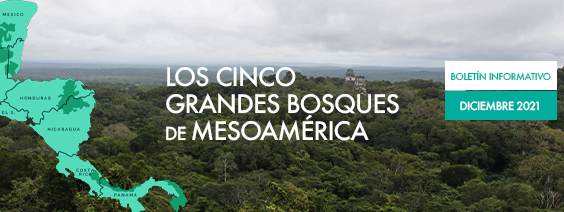 Avances sobre la iniciativa de Los 5 Grandes Bosques de Mesoamérica y ...