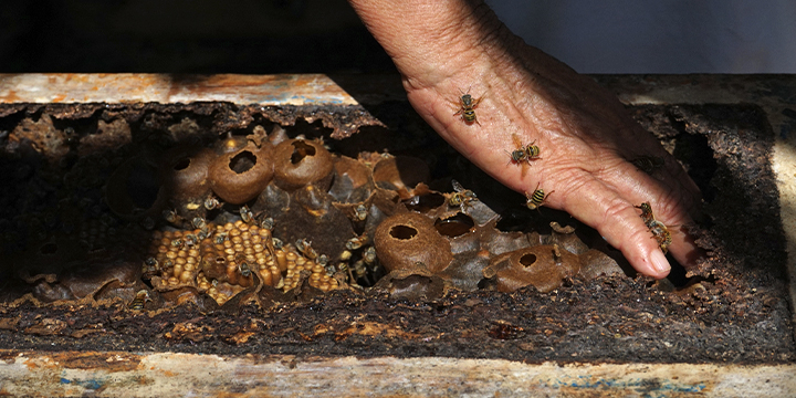 Home [programs.wcs.org]