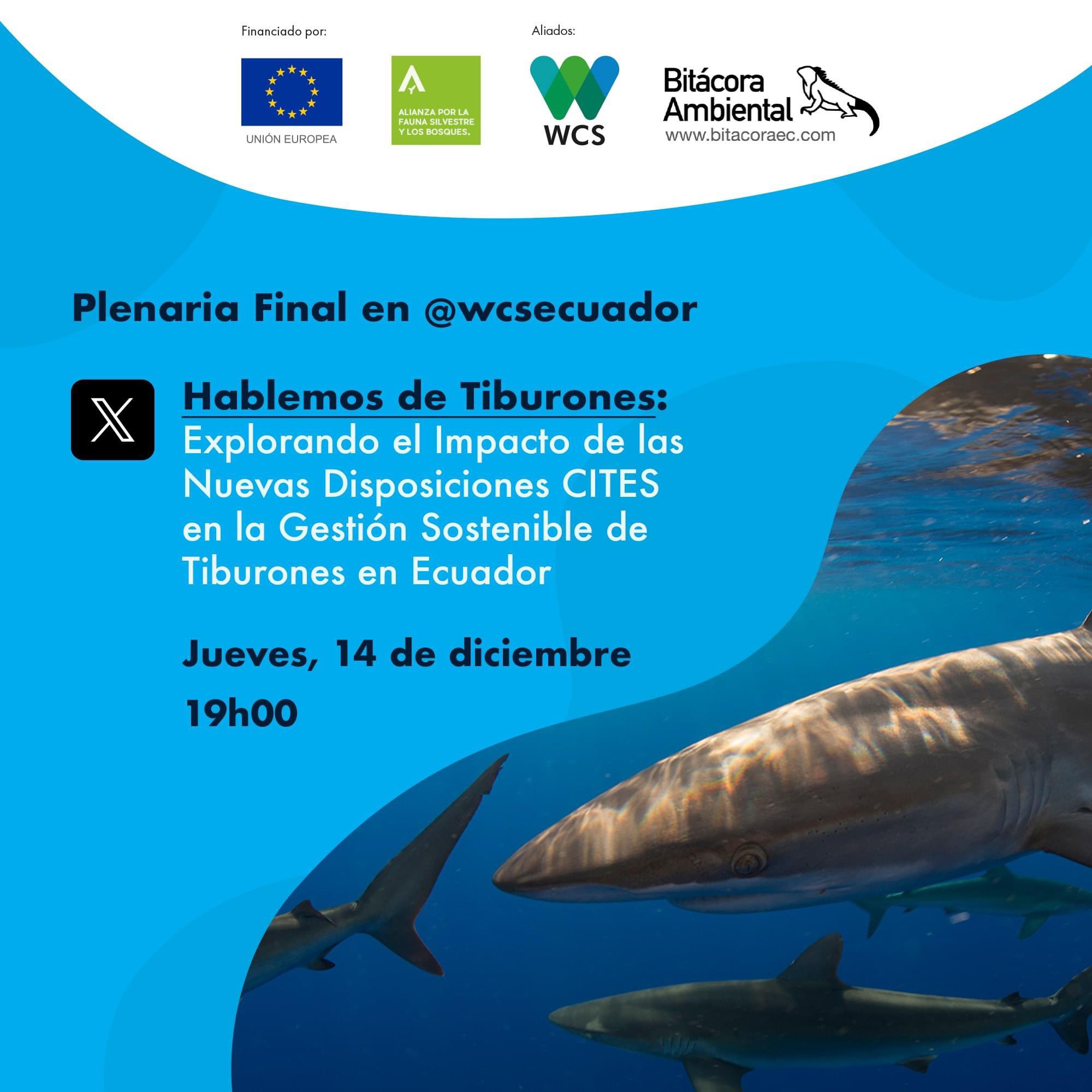 Sesiones informativas: explorando el impacto de las nuevas ...