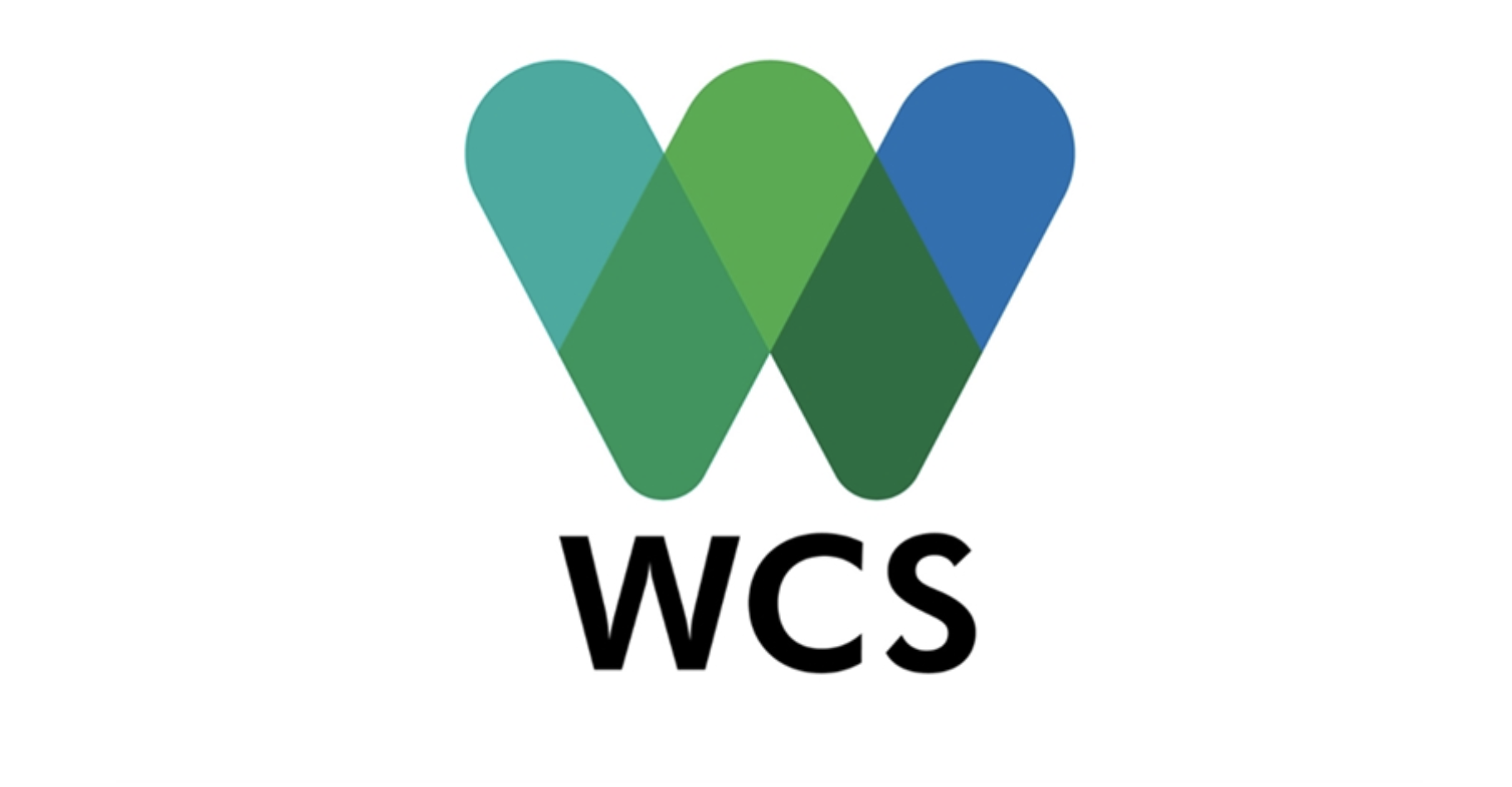 CoP30 | Declaración de WCS desde la CoP30: la integridad ecológica ...