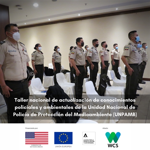 Taller nacional de actualización de conocimientos sobre delitos ...