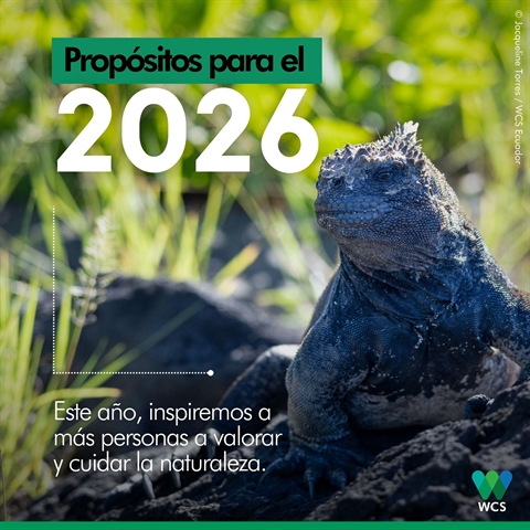 Consejos para convivir con la naturaleza con respeto y responsabilidad ...