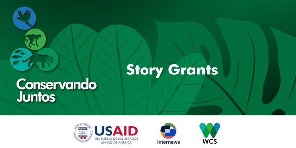 Conservando Juntos: Cosechando historias periodísticas para enfrentar ...