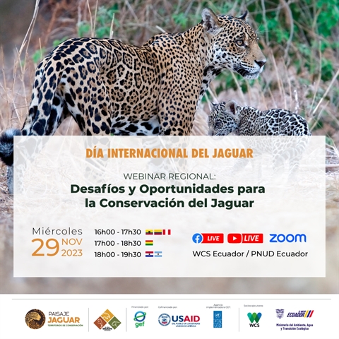 Reflexiones sobre los desafíos y oportunidades para la conservación del ...