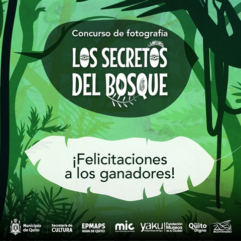 Concurso Fotográfico “Los Secretos del Bosque” tiene ya sus ganadores ...