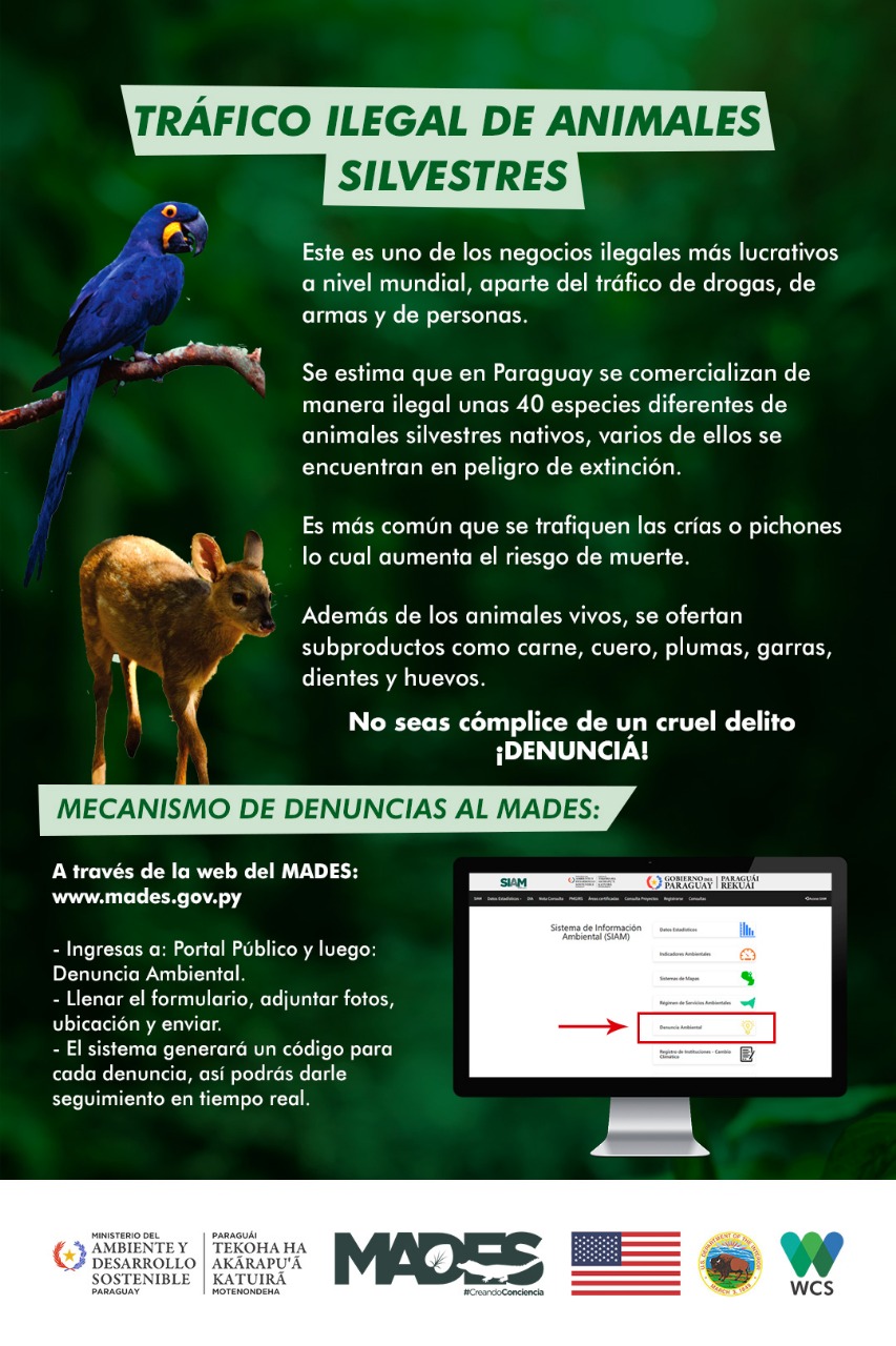Combate al Tráfico de Vida Silvestre