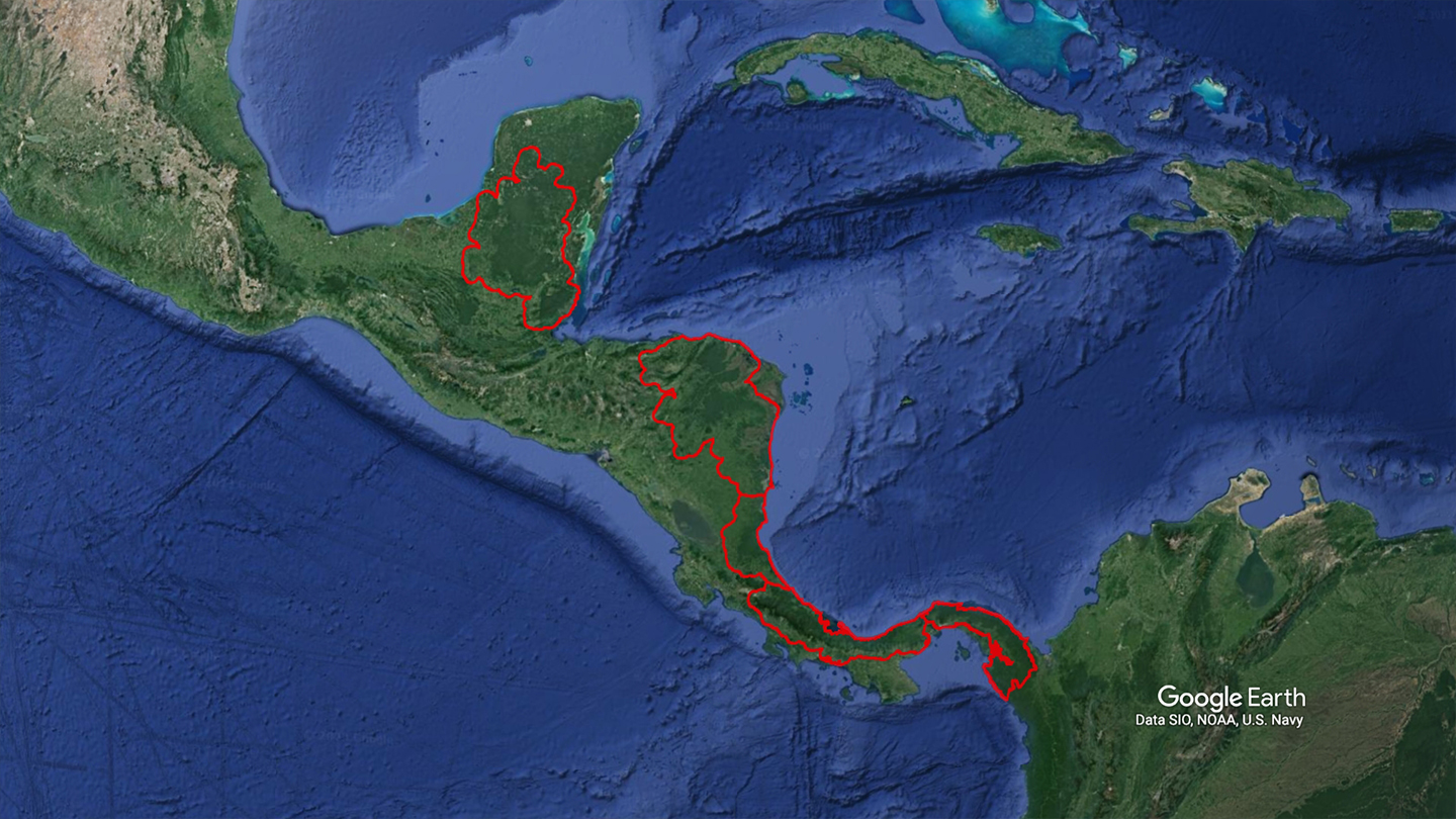 Home [programs.wcs.org]